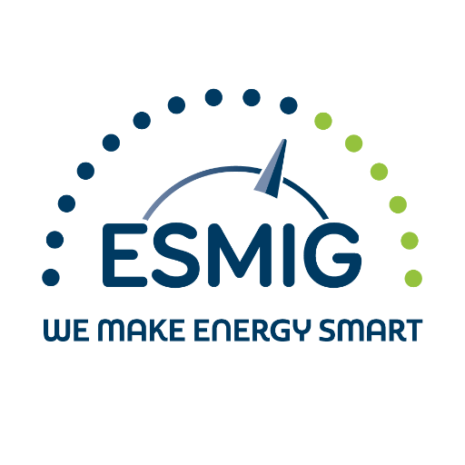 Gridspertise — ESMIG